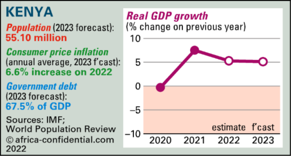 The return of one-man rule | Article Preview | Africa Confidential