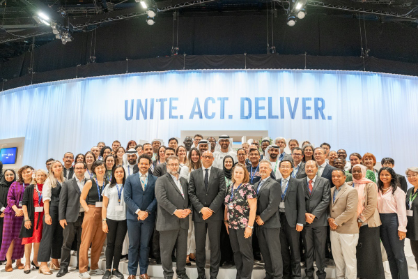 The 28th UN Conference of the Parties Climate Summit – a users' guide ...