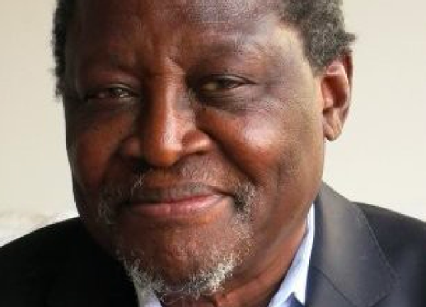 Thandika Mkandawire, 10 October 1940-27 March 2020 | Article | Africa ...